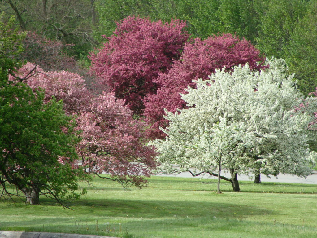 Boerner Botanical Gardens - Circle Wisconsin